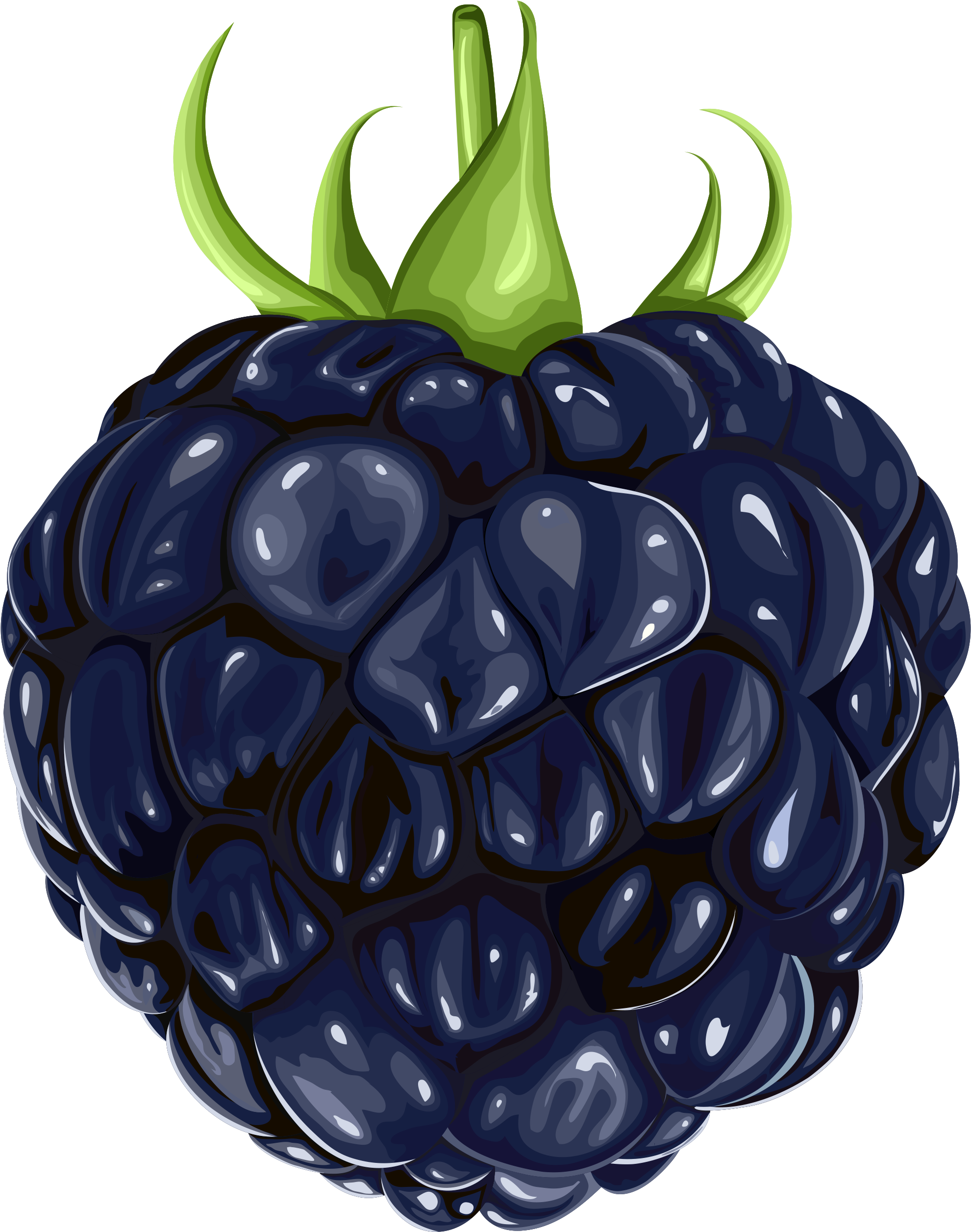 Download Black Raspberry Clip Art - Full Size PNG Image - PNGkit