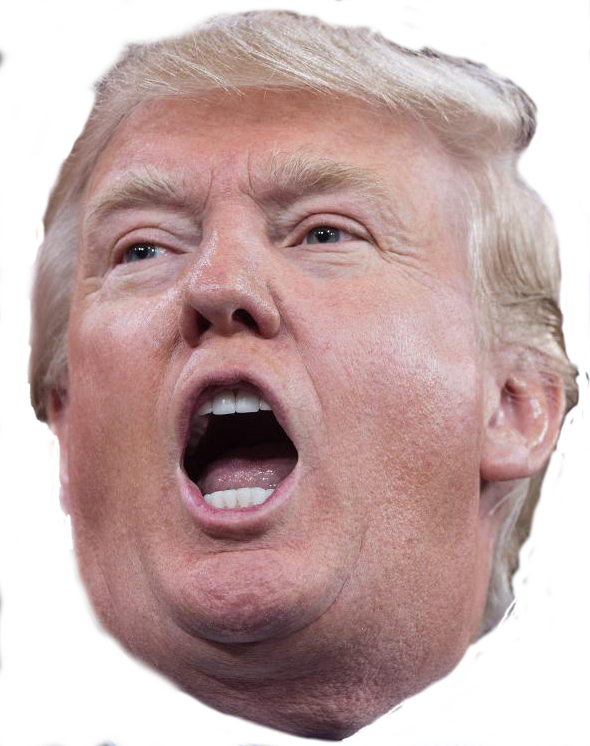 Download Show - Trump Icon Png - Full Size PNG Image - PNGkit