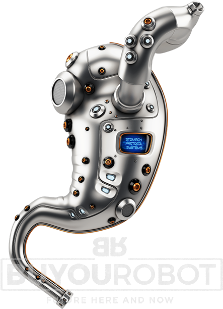 Download Robotic Stomach - Robot Stomach - Full Size PNG Image - PNGkit