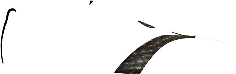 Download Charol-cocodrilo Gris - Full Size PNG Image - PNGkit