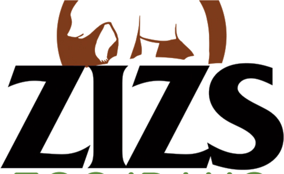 Download Zizs Graphic Identity - Full Size PNG Image - PNGkit