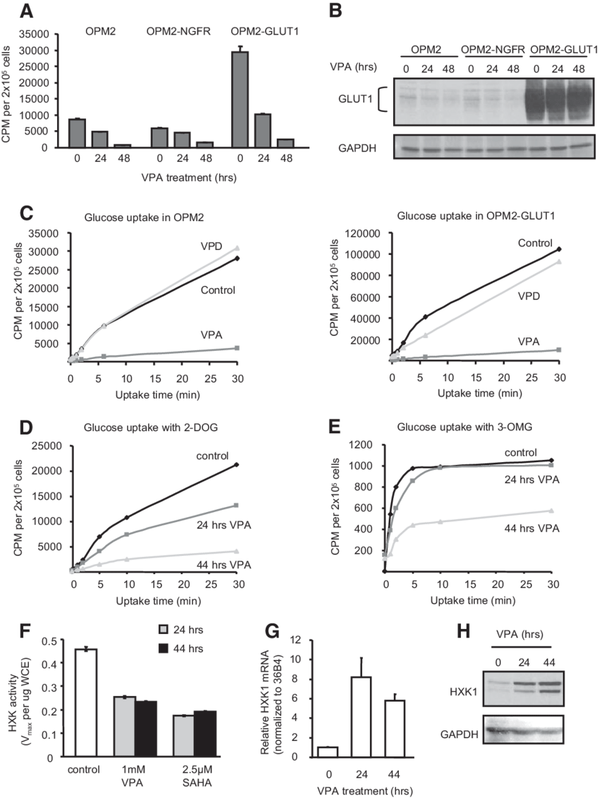 Download A, Opm2 Cells Uninfected Or Stably Infected With Empty - Full ...