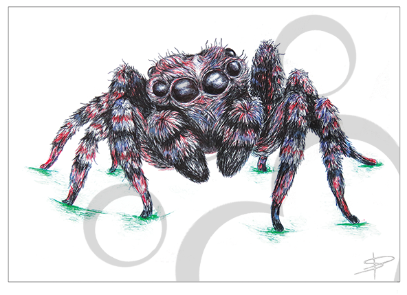 Download Spider Inkling - Full Size PNG Image - PNGkit