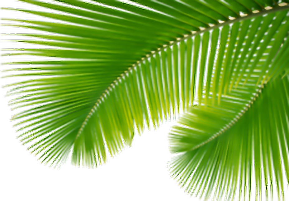 Download Report Abuse - Full Size PNG Image - PNGkit