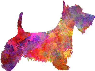 Download Click And Drag To Re-position The Image, If Desired - Scottie ...