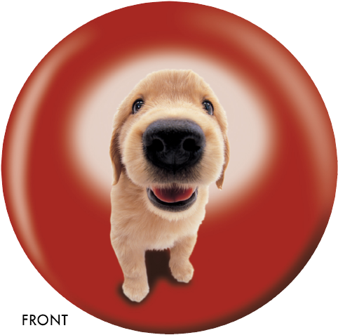 Download Louis Xvi (1754–1793), King Of France - Full Size PNG Image ...