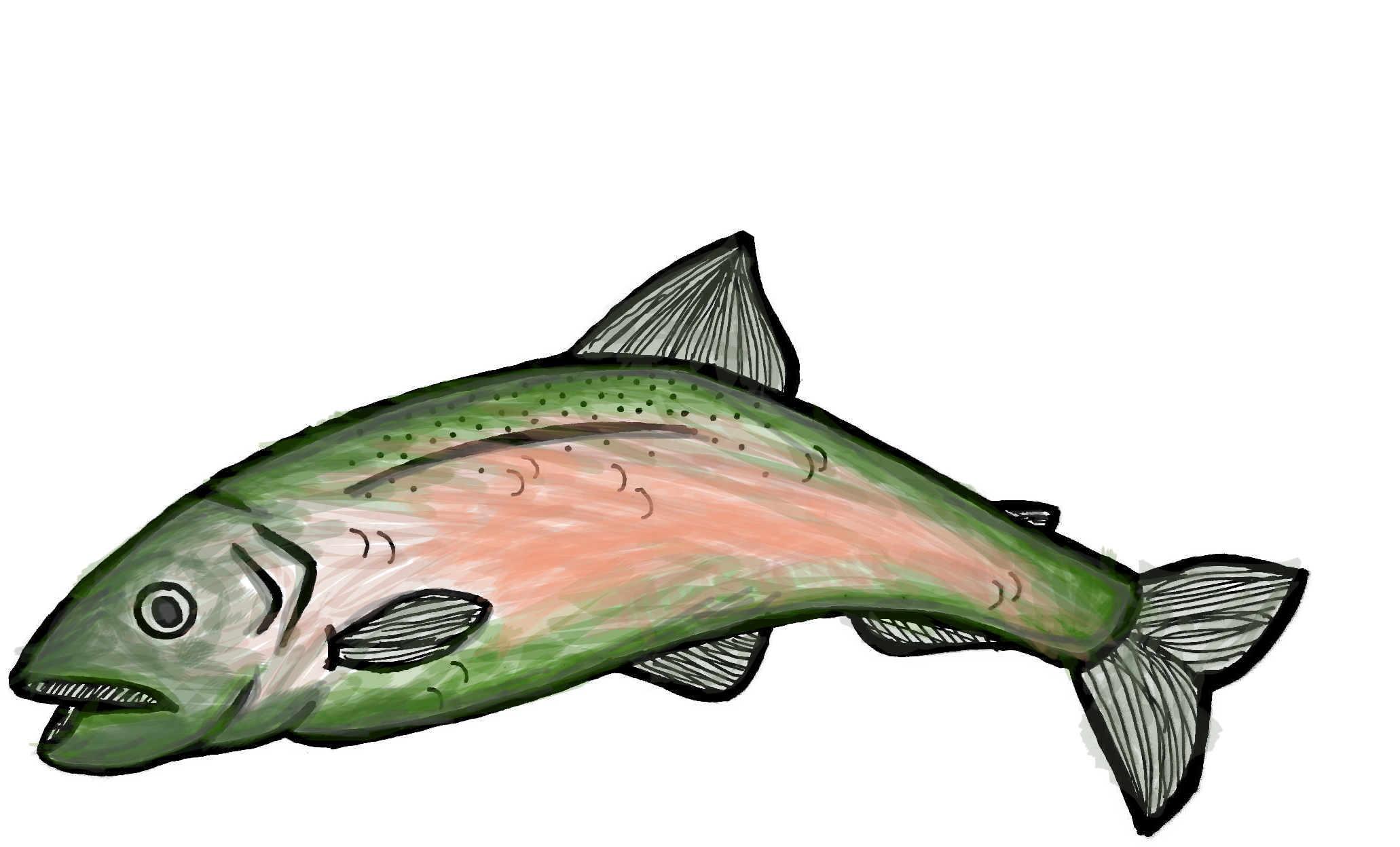 Download Bellingham Port Commissioner Michael Shepard Wrote - Coho ...