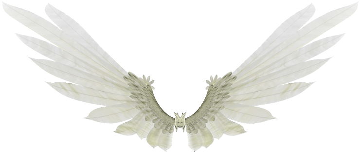 Download Ailes - .net - Full Size PNG Image - PNGkit