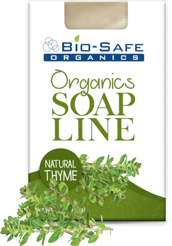 Download Natural Thyme - Full Size PNG Image - PNGkit