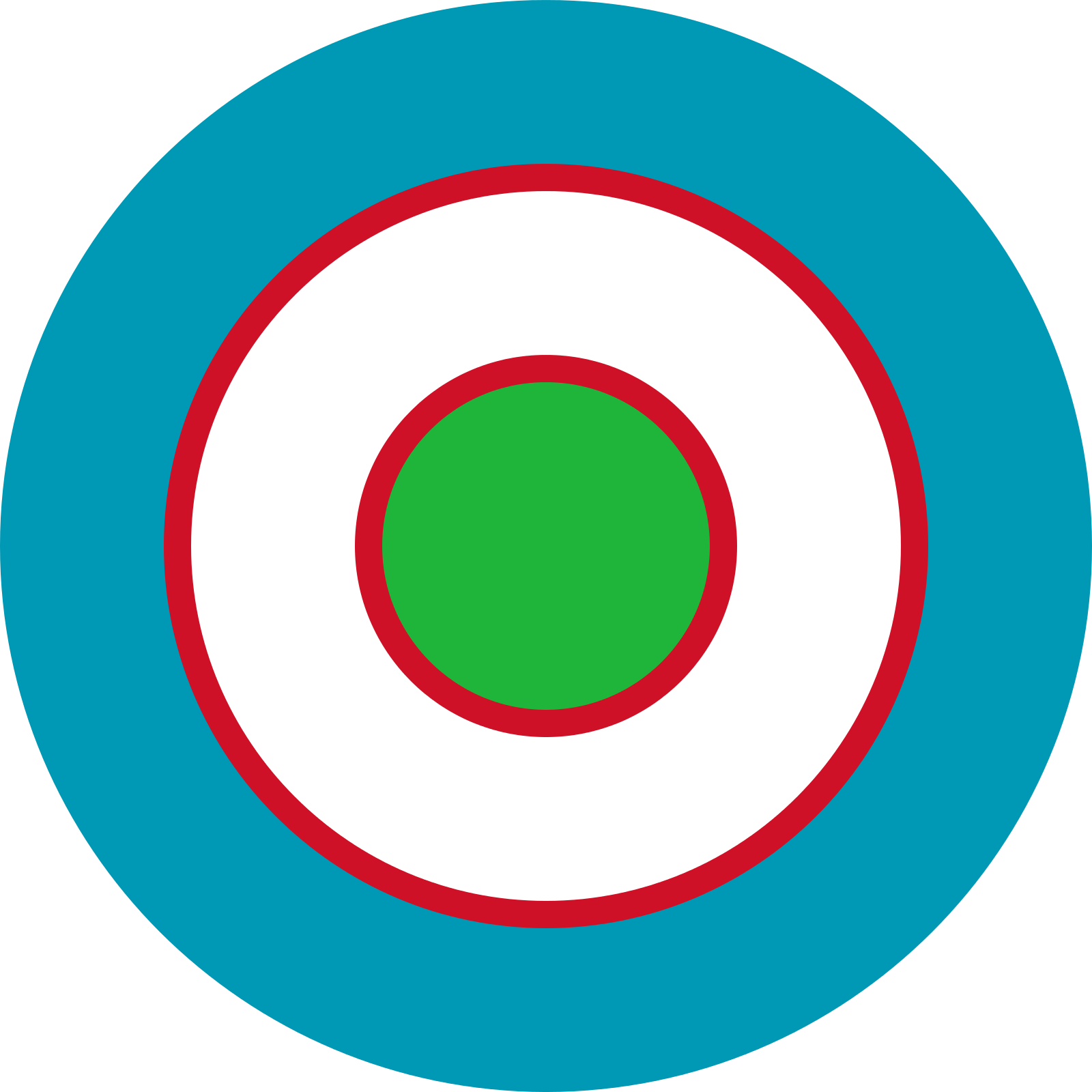 Download Roundel Air Force Of Uzbekistan - Full Size PNG Image - PNGkit