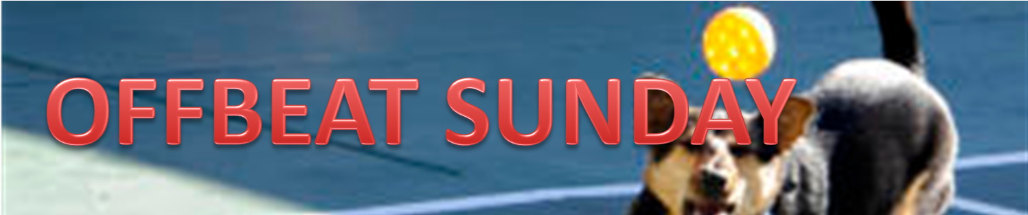 Download The Spin Master - Full Size PNG Image - PNGkit