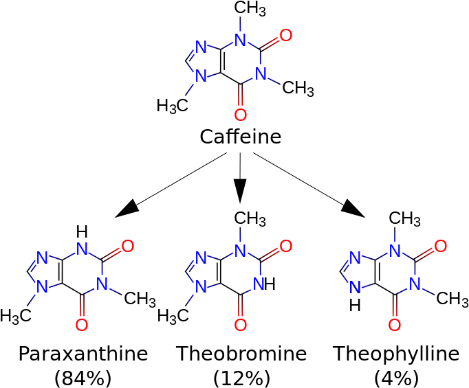 Download Caffeine Molecule Png - Full Size PNG Image - PNGkit