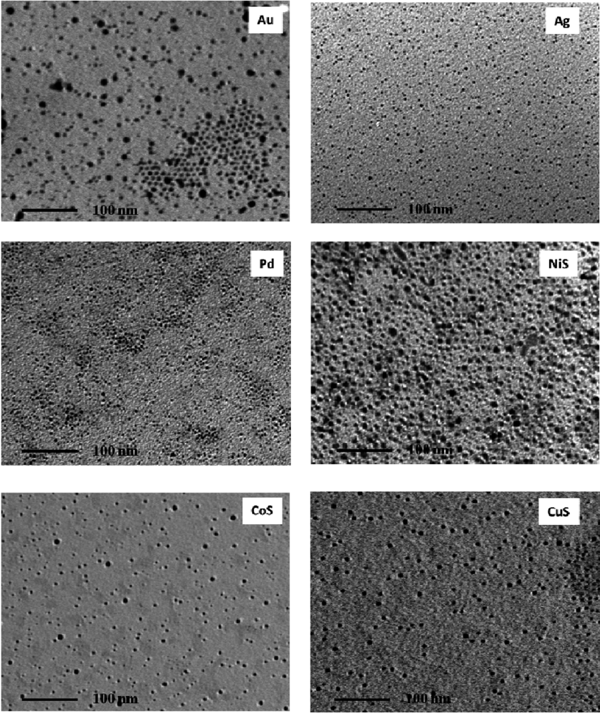 Download Tem-micrographs Of Different Metal And Metal Sulfide - Full ...