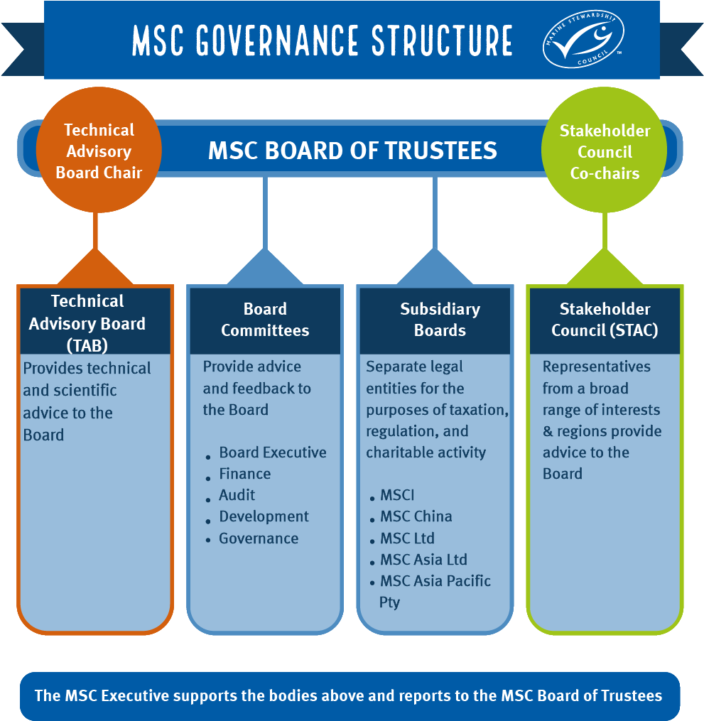 Download Chart Of Msc Governance Structure - Full Size PNG Image - PNGkit