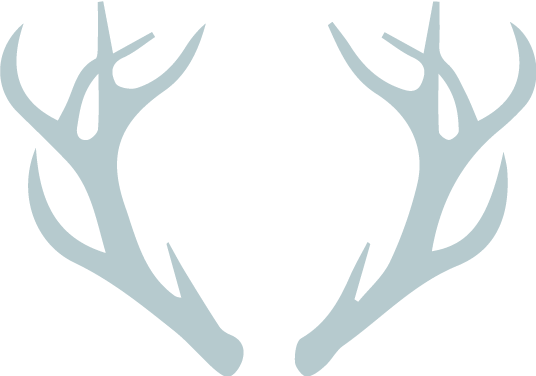 Download Blue-antlers - Horn - Full Size PNG Image - PNGkit
