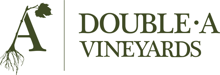 Download Double A Vineyards - Valvin Muscat - Full Size PNG Image - PNGkit