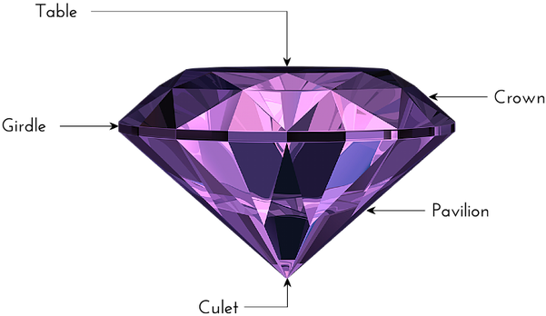 Download Diamond Anatomy Diagram - School - Full Size PNG Image - PNGkit