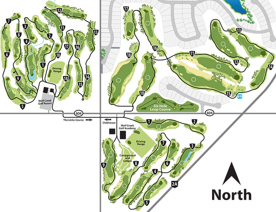 Download Wolf - Full Size PNG Image - PNGkit