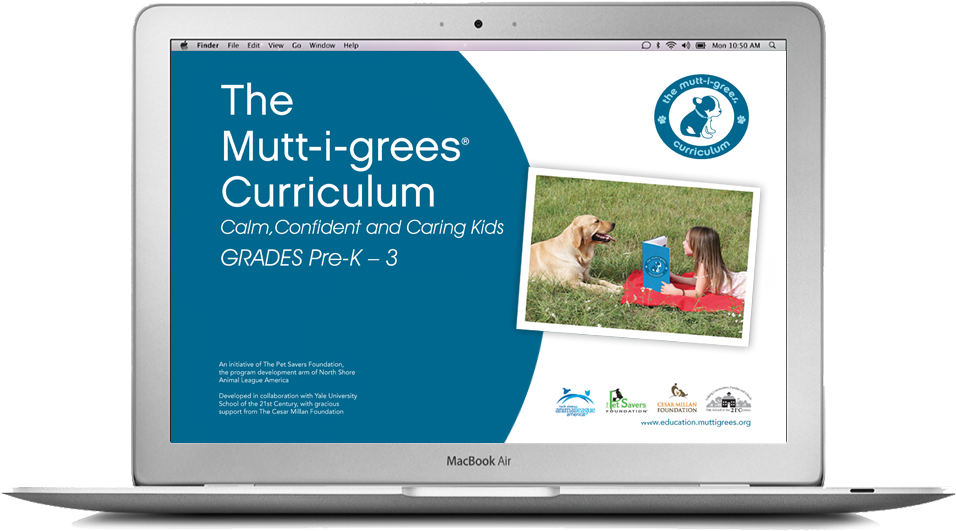 Download Grades Pre-k 3 - Full Size PNG Image - PNGkit