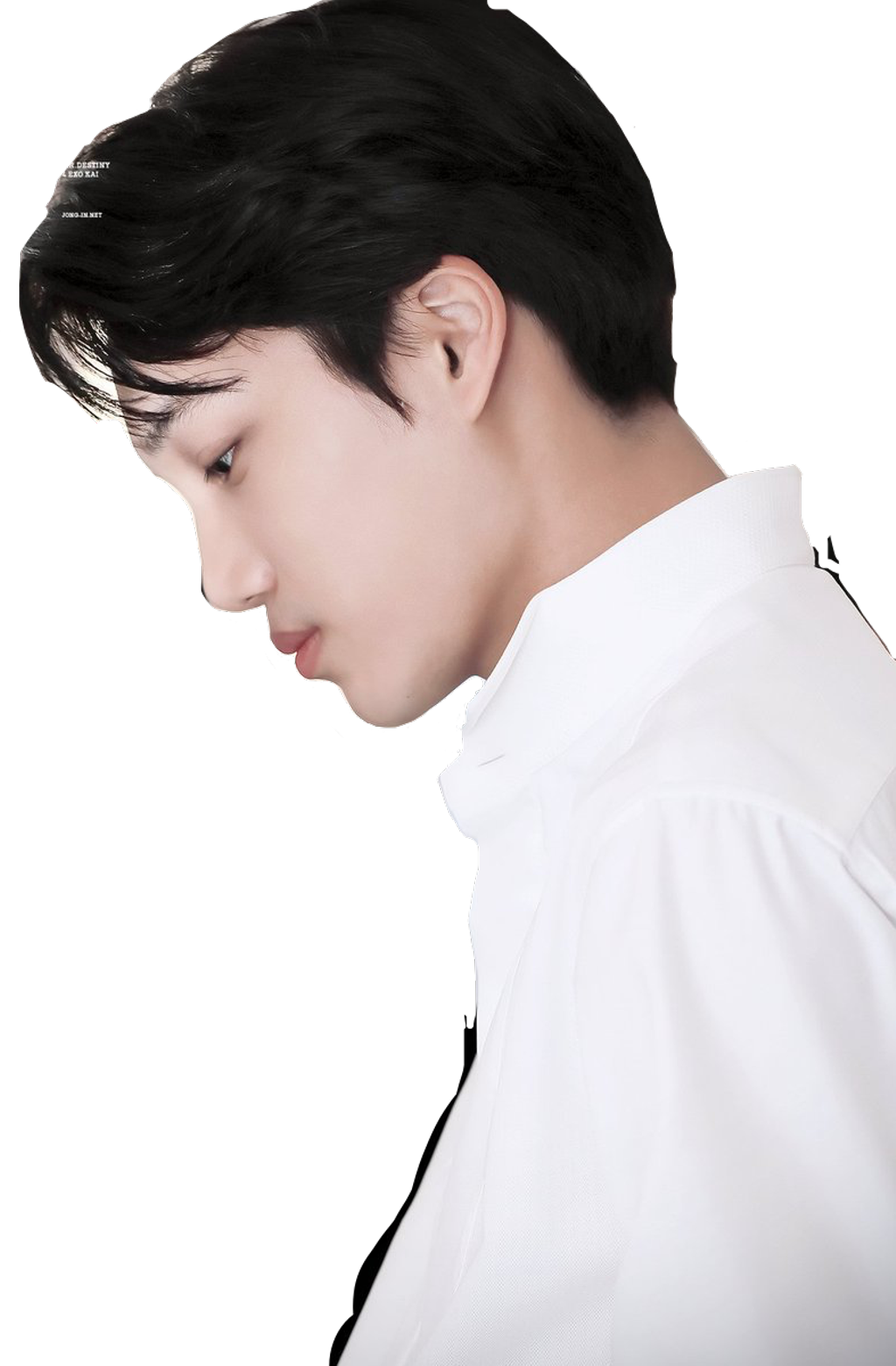 Download Report Abuse - Full Size PNG Image - PNGkit