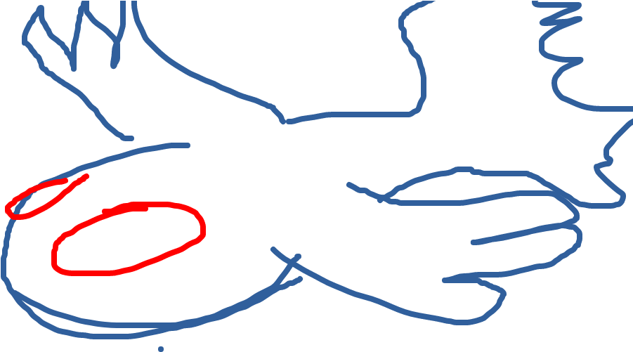 Download Kyogre - Full Size PNG Image - PNGkit