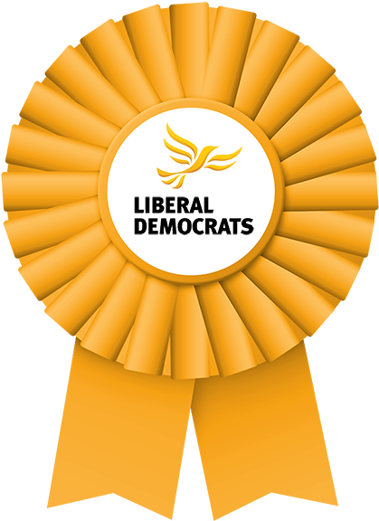Download Read The Liberal Democrat Party Easy Read Manifesto - Full ...
