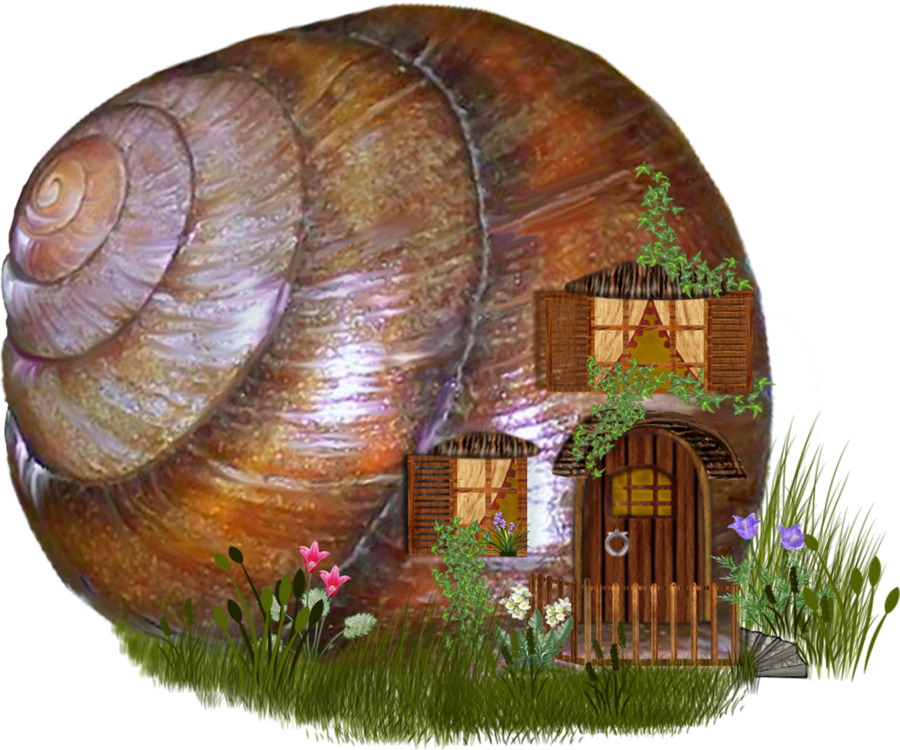 Download Clipart Royalty Free Stock By Roula On Deviantart - Snail ...