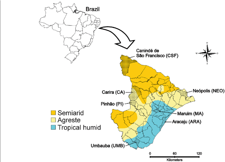 Download Map Of The State Of Sergipe Showing The Locations Of - Full ...