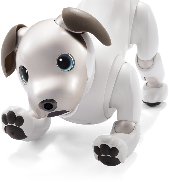 Download New Aibo Was Released - Full Size PNG Image - PNGkit