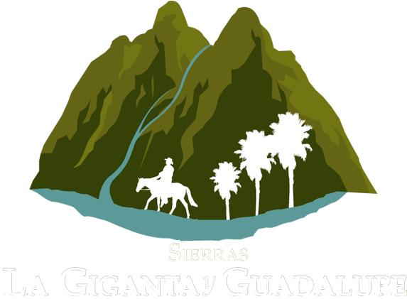 Download Giganta Png - Full Size PNG Image - PNGkit