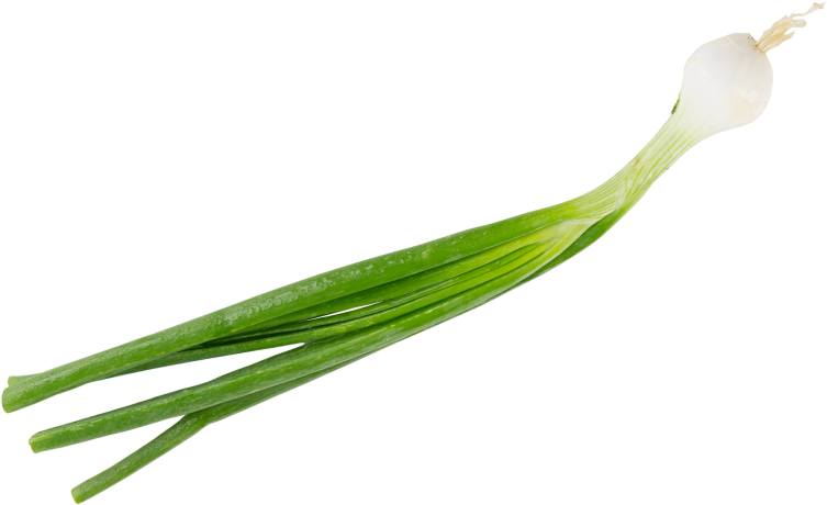 Download Chives - Full Size PNG Image - PNGkit