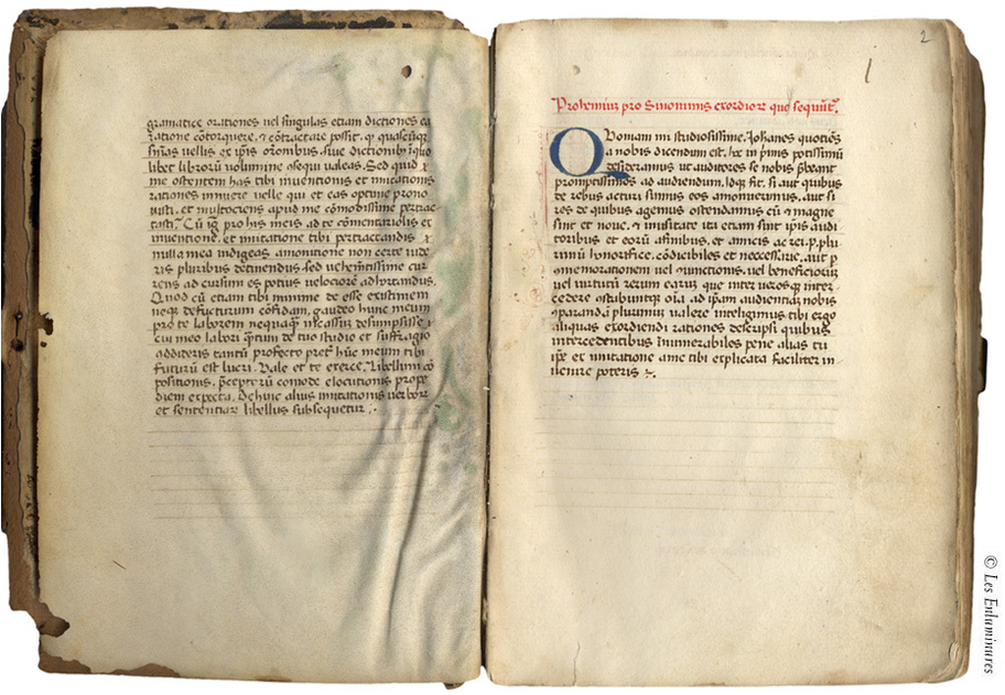 Download Plumbus Png - Full Size PNG Image - PNGkit