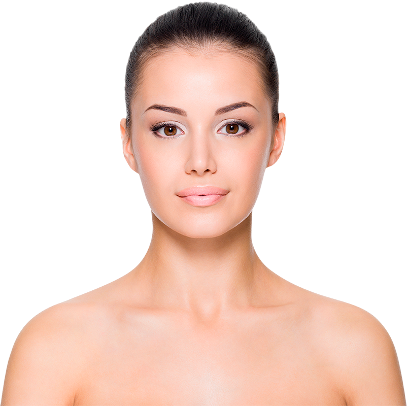 Download Gallery - - Full Size PNG Image - PNGkit