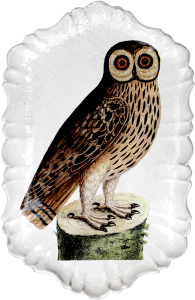 Download Snowy Owl Png - Full Size PNG Image - PNGkit