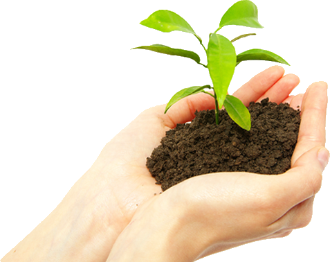 Download Soil In Hand Png - Full Size PNG Image - PNGkit