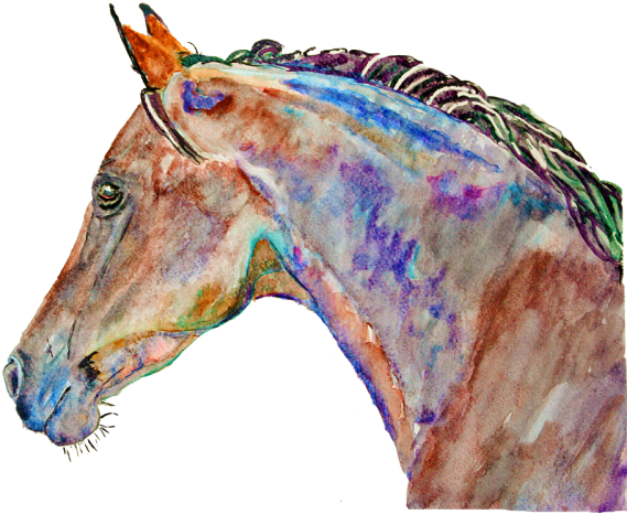 Download Stallion - Full Size PNG Image - PNGkit