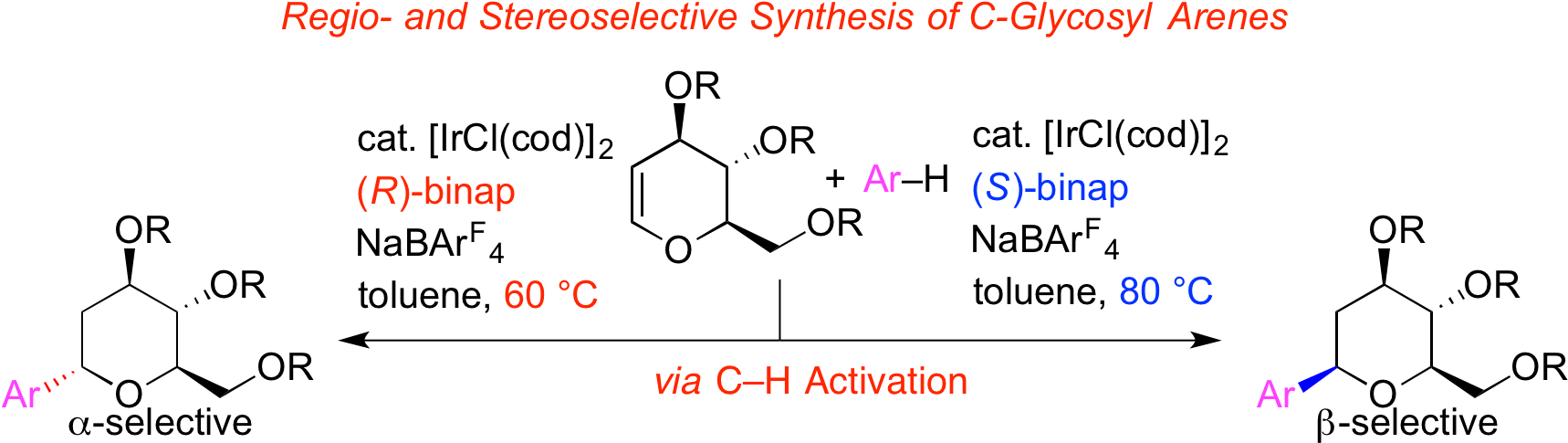 Download Kana Sakamoto, Masaki Nagai, Yusuke Ebe, Hideki Yorimitsu ...