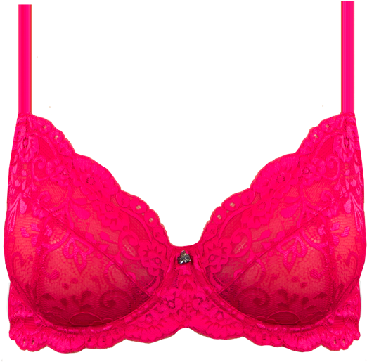 Download Bra Azalea Braa04 2039azalea - Full Size PNG Image - PNGkit