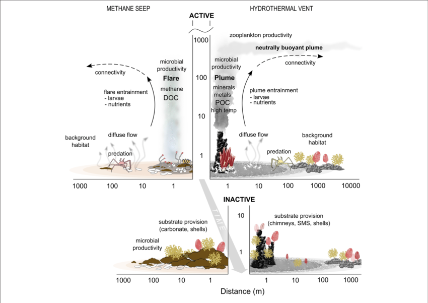 Download Schematic Of Seep And Vent Interactions With Surrounding ...