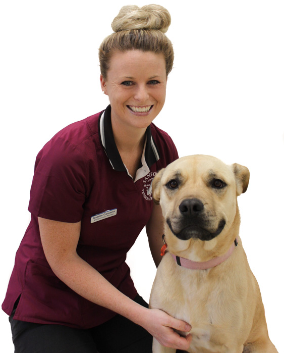 Download 40 - Full Size PNG Image - PNGkit