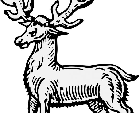 Download Stag Clipart Svg - Full Size PNG Image - PNGkit