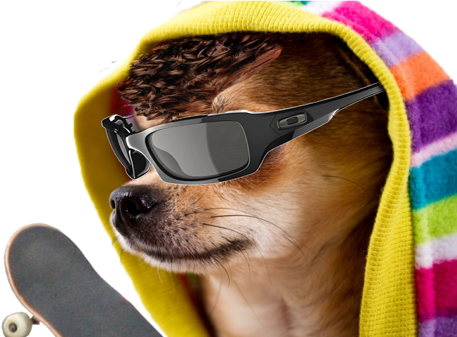 Download Cool Dog - Full Size PNG Image - PNGkit