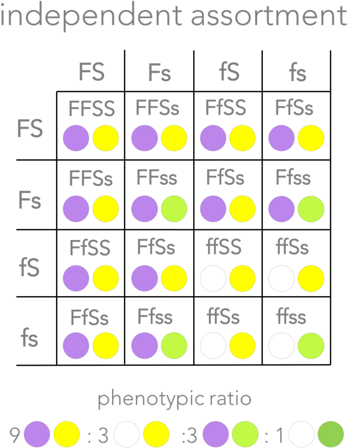 Download Prediction Of - Full Size PNG Image - PNGkit