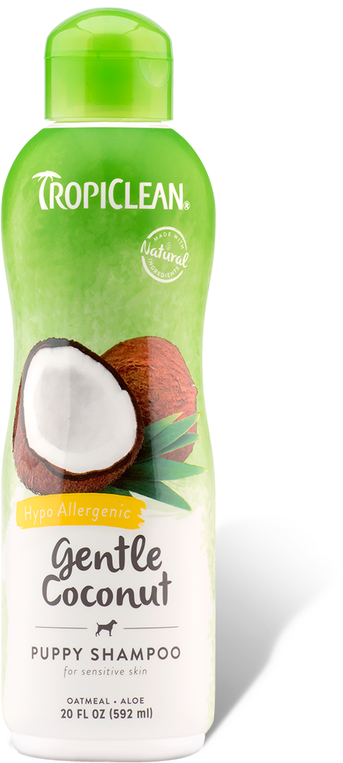 Download Shampoo Png - Full Size PNG Image - PNGkit