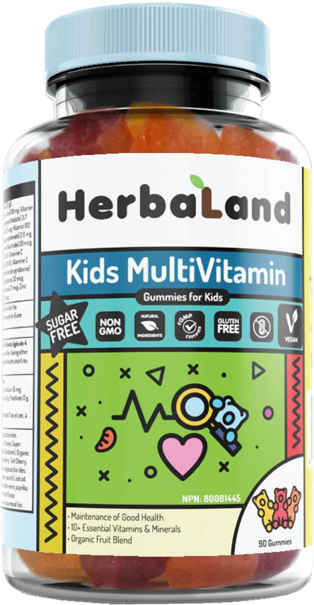 Download Next - Full Size PNG Image - PNGkit