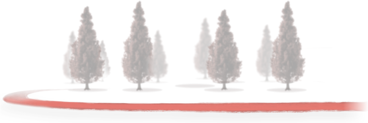 Download Tree Background - Full Size PNG Image - PNGkit