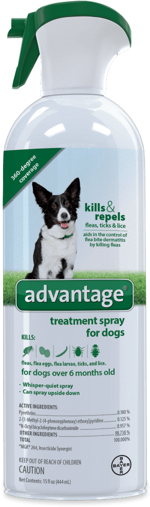 Download Bayer Advantage Treatment Spray For Dogs - Full Size PNG Image ...