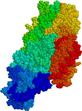 Download Tissue Transglutaminase - Gliadine Structure - Full Size PNG ...