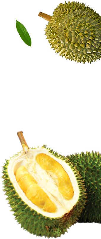 Download Malaysia Durian - Durian - Full Size PNG Image - PNGkit