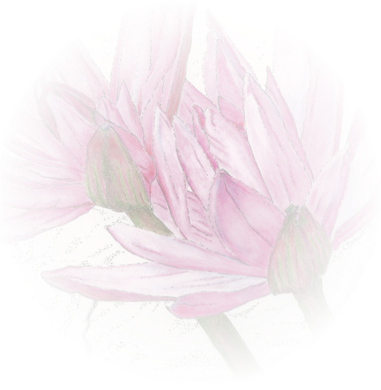 Download A Gentle, Hands-on And Deeply Relaxing Therapy That - Full ...